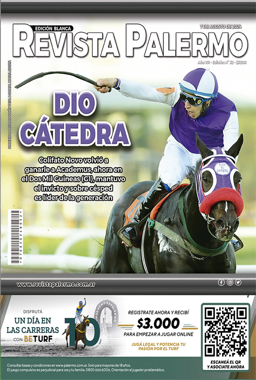 Revista Palermo