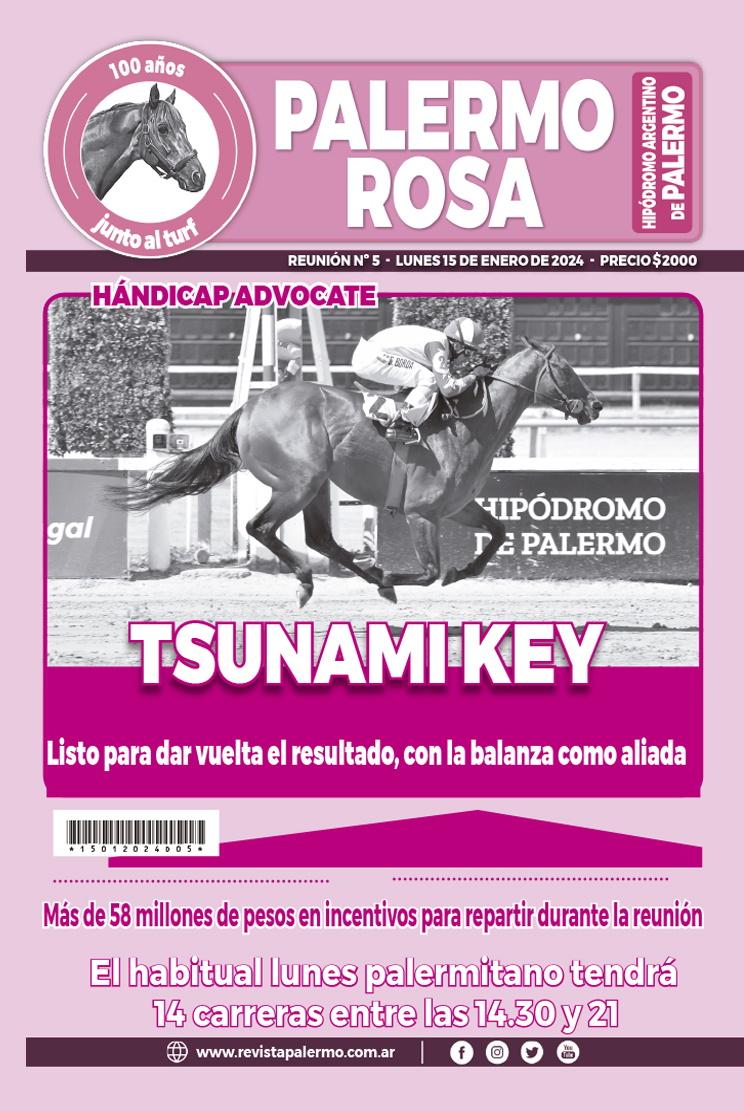 Revista Palermo