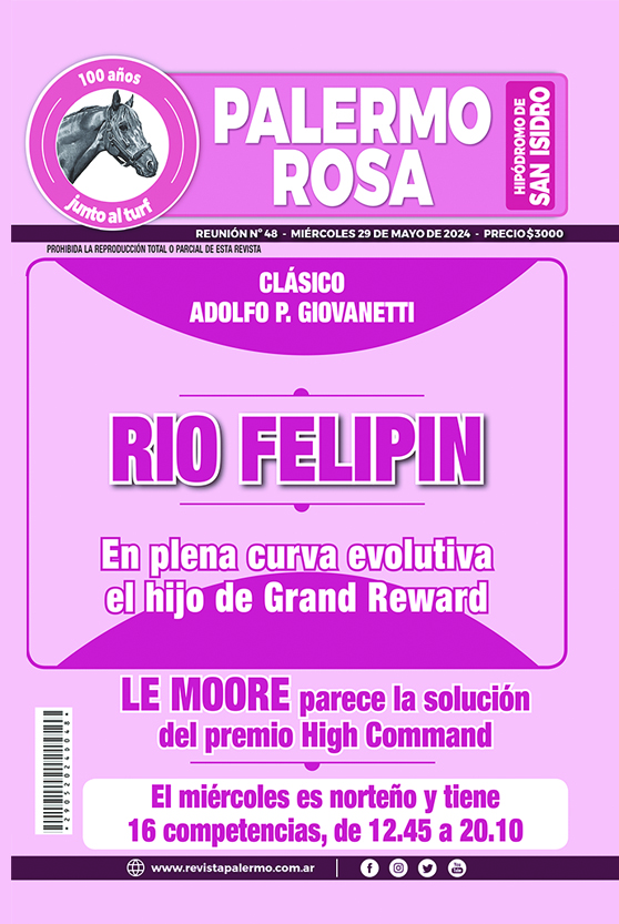 Revista Palermo